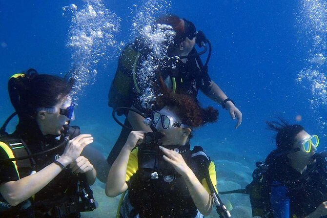 Marmaris Scuba Diving Experience with Lunch & Hotel Transfers - Value and Pricing Analysis