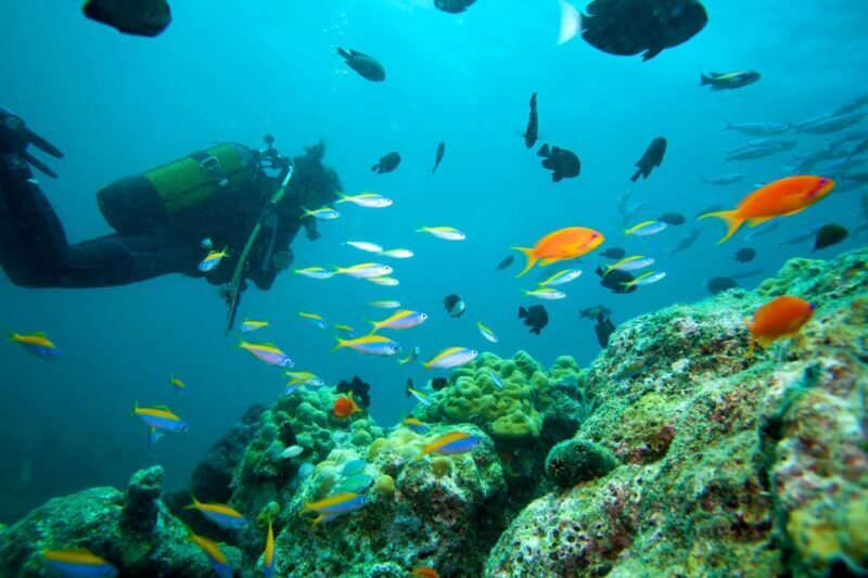 Marmaris: Scuba Diving with a Qualified Instructor - An Overview of the Marmaris Scuba Tour