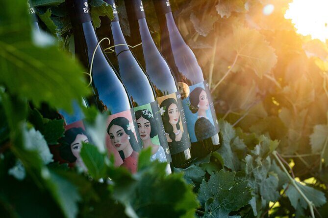 Marsala Tasting of 5 Sicilian organic wines - Key Points