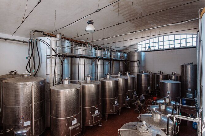 Marsala Tasting of 5 Sicilian organic wines - The Charm of the Setting and Guides