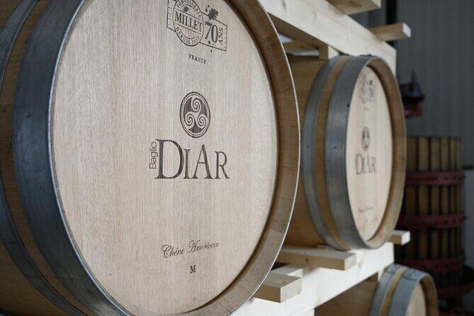 Marsala Tasting of 5 Sicilian organic wines - Final Thoughts: Is This Tour for You?