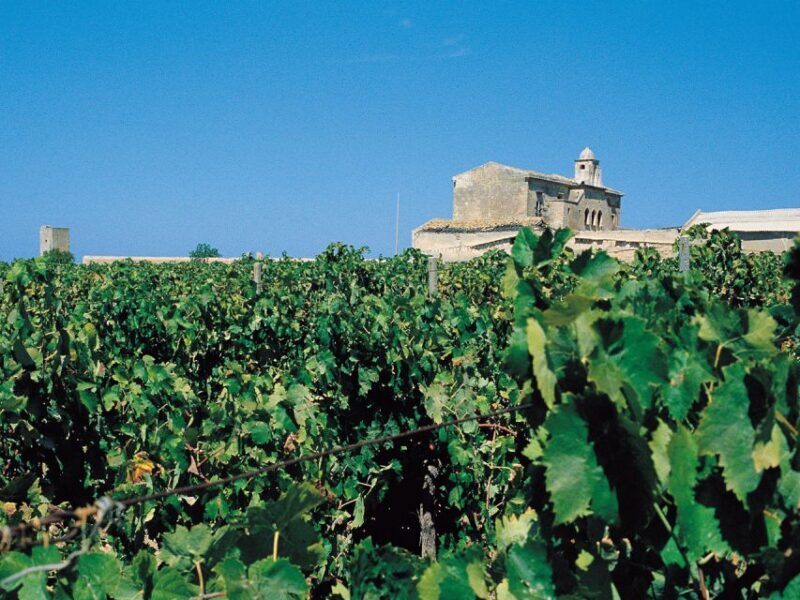 Marsala: Winery Tour with Wine Tasting and Local Products - The Authenticity and Family Feel