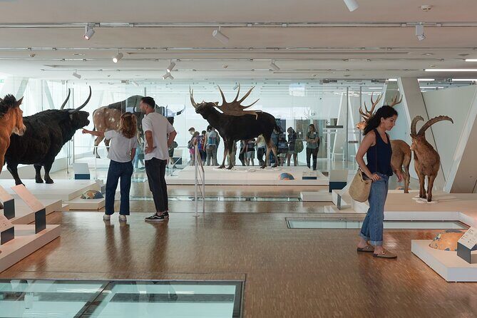Marseille: Cosquer Cave Entry Ticket and Audio Guide - Real Traveler Insights
