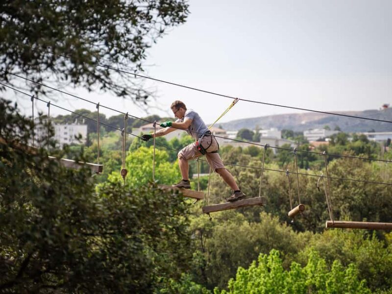 Marseille: Ecopark Adventures Treetop Adventure - The Experience for Different Types of Visitors