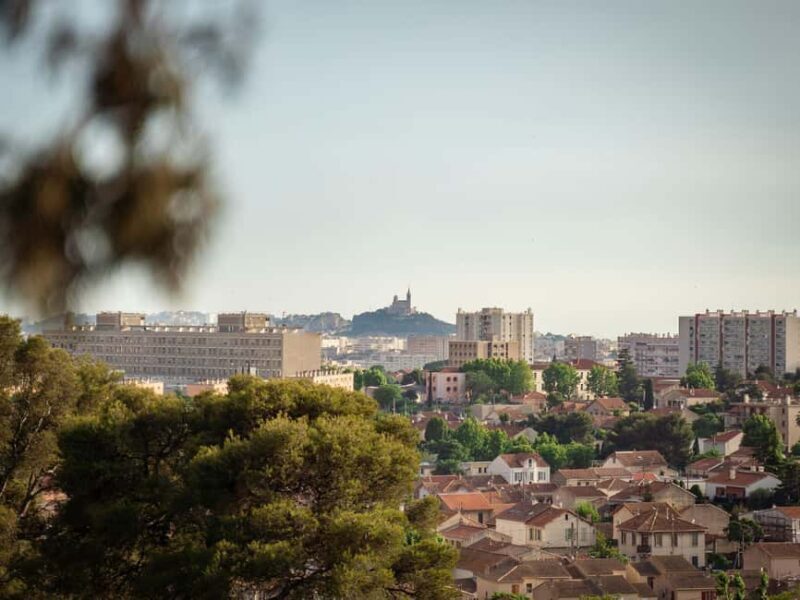 Marseille: Ecopark Adventures Treetop Adventure - Practical Details and Considerations