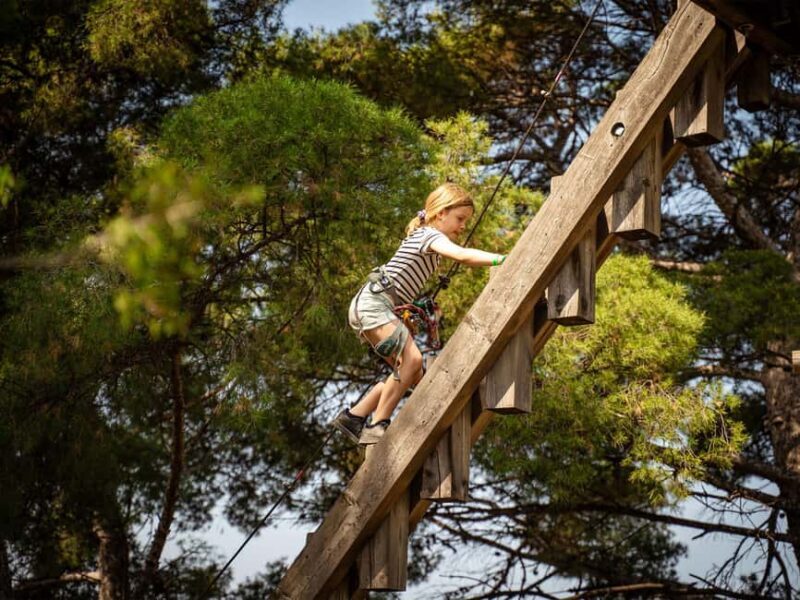 Marseille: Ecopark Adventures Treetop Adventure - Authentic Experiences and Insights from Visitors