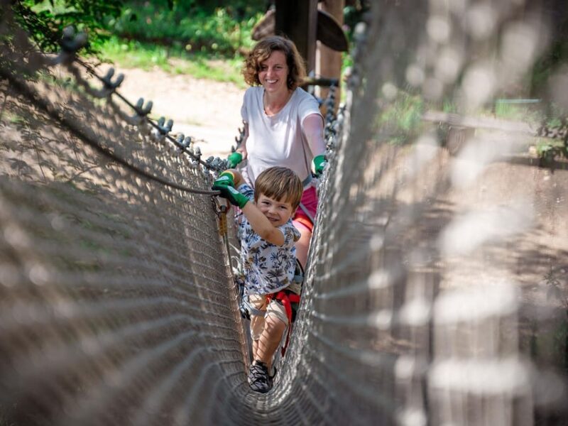 Marseille: Ecopark Adventures Treetop Adventure - Why This Adventure is a Great Value