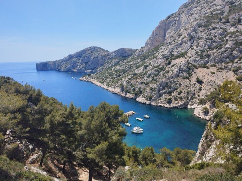 Marseille: Guided Hiking Calanques National Park from Luminy - Who Will Love This Tour?
