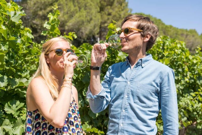 Marseille: Highlights & Wine Tasting Day Tour - Key Points