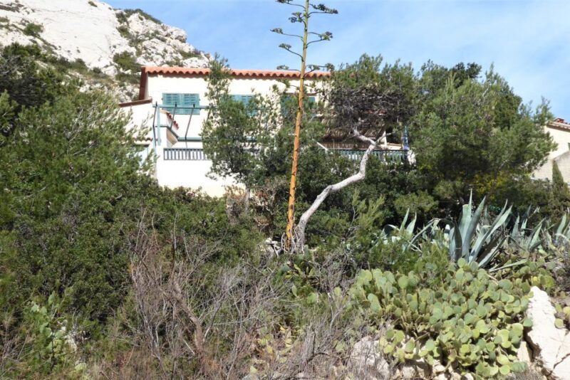 Marseille: Sormiou Calanque Half-Day Hiking Tour w/Swimming - Exploring the Marseille: Sormiou Calanque Half-Day Hiking Tour with Swimming