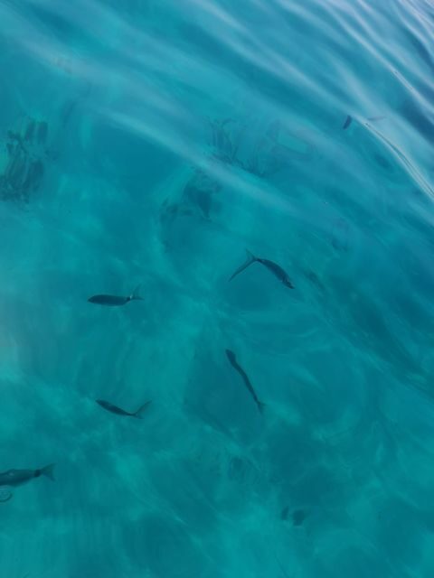 Marseille: Sunset Boat Cruise with Rosé Wine & Snacks - The Sum Up: Is It Worth It?