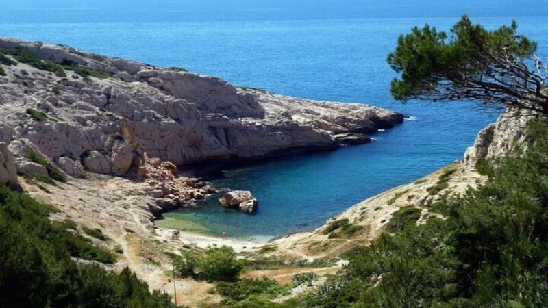 Marseille : Vieux-Port & Panier Walking Tour - What You Can Expect from the Tour