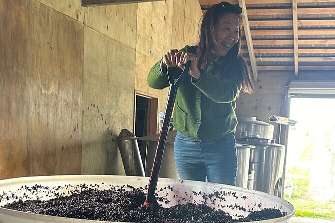 Martinborough Private Food and Wine Tour in Tesla SUV - Final Thoughts