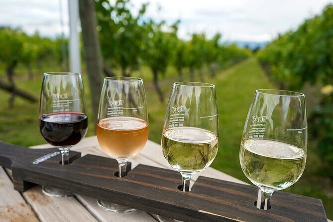 Martinborough Region Day Trip including beverage sampling - An In-Depth Look at the Martinborough Day Trip