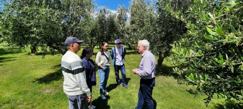 Martinborough Wine and Food Tour with Lunch from Wellington - Exploring Martinborough Vineyards