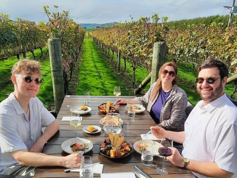 Martinborough Wine and Food Tour with Lunch from Wellington - A Gourmet Lunch with a View