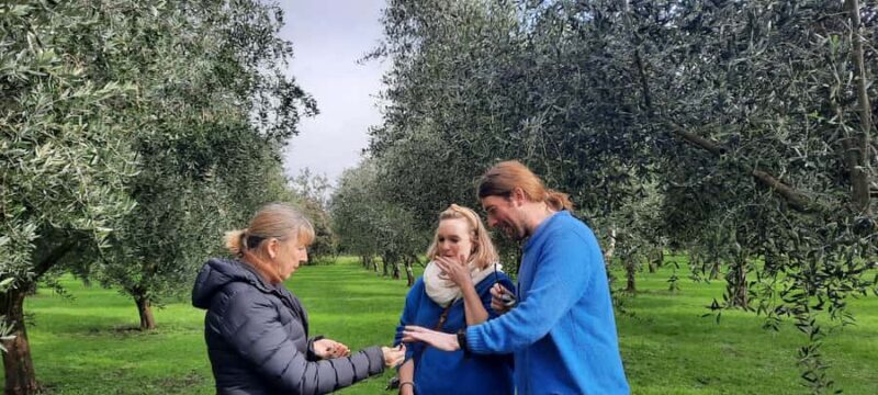 Martinborough Wine and Food Tour with Lunch from Wellington - Transportation, Timing, and Value