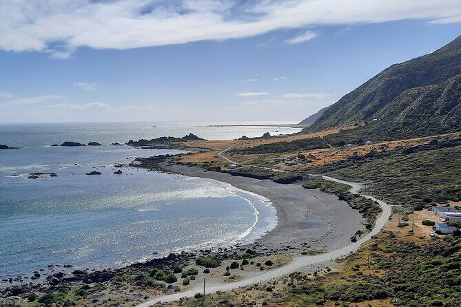 Martinborough Wine and Wild Coast Tour from Wellington - Full-Day Journey Through Scenic Wairarapa and Wild Coast