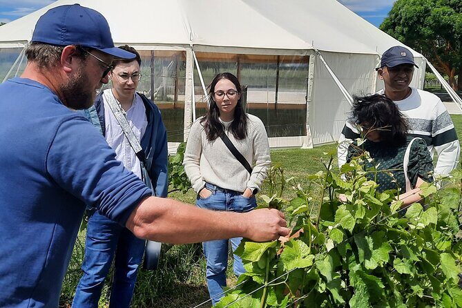 Martinborough Winery and Foodie Day Tour with vineyard lunch - Final Thoughts