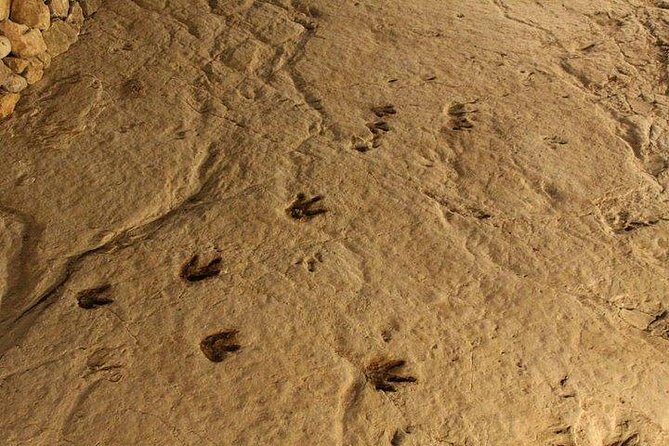 Martvili + Okatse + Caves - Who Is This Tour Best For?