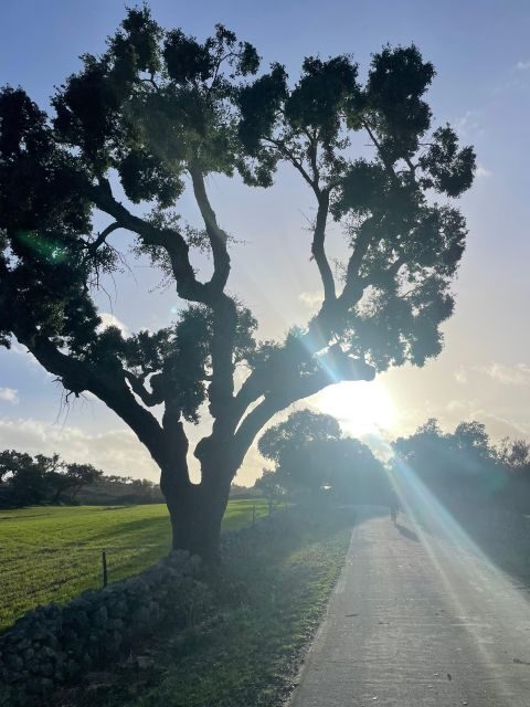 Marvão: bike tours in nature - The Experience Provider