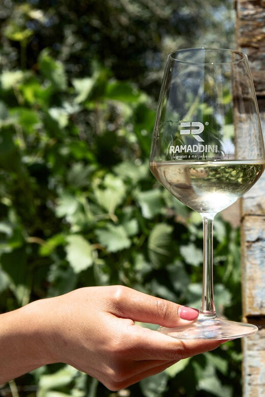 Marzamemi: Val di Noto Wine Tour, Wine Tasting & Aperitif - Key Points