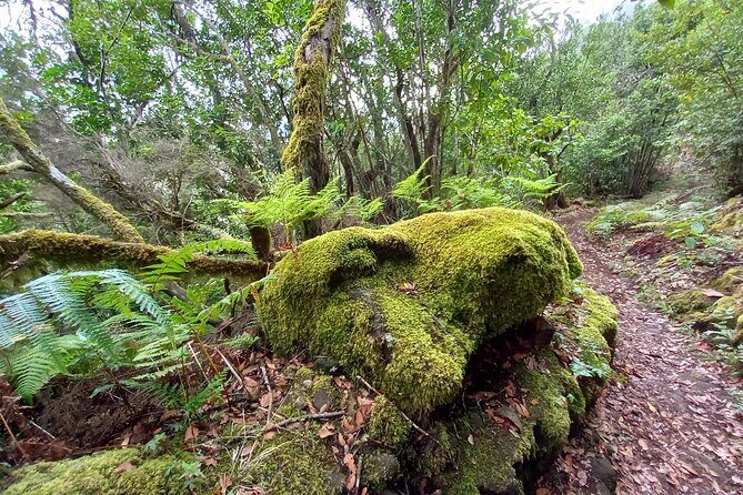 Masca from above - How the Experience Feels