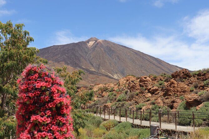 Masca - Garachico - Icod - Teide National Park - Key Points