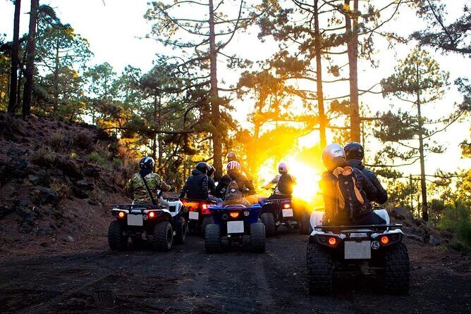 Masca Valley Guided Buggy Tour. Small Group. - Potential Drawbacks to Consider