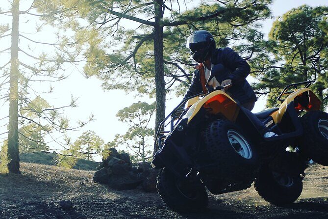 Masca Valley Guided Buggy Tour. Small Group. - Who is This Tour Best For?