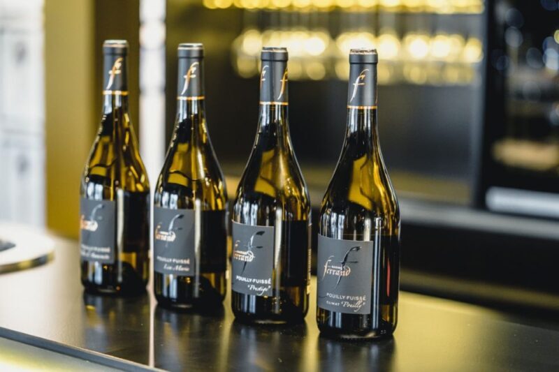 Mason: Visit and Tasting of the Estate's Wines - Who Should Consider This Tour?