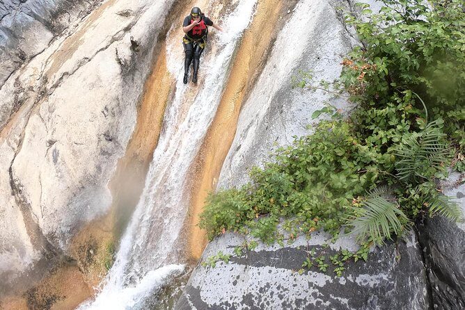 "Matacanes" cannon - FAQ