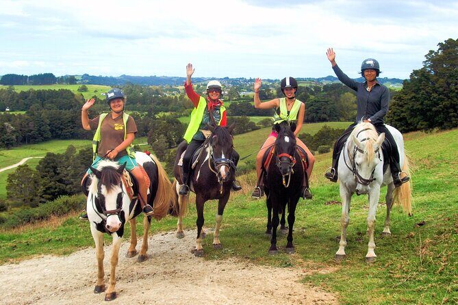 Matakana Art & Horse Riding Experience Private Tour From Auckland - Key Points