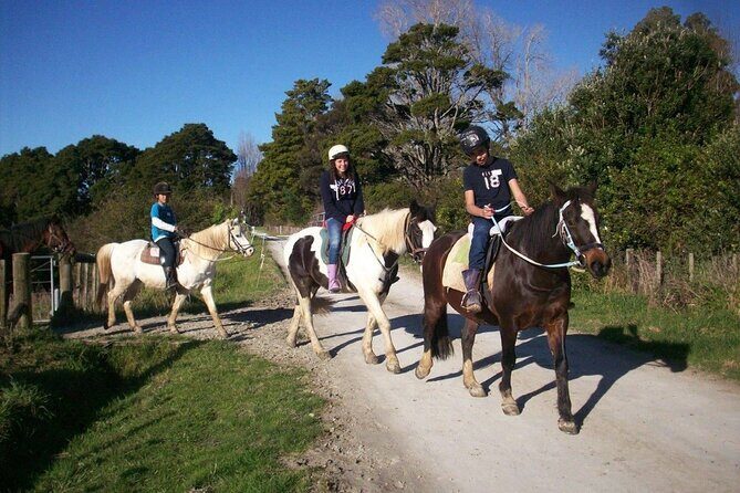Matakana Art & Horse Riding Experience Private Tour From Auckland - In Closing