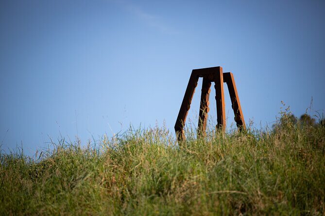 Matakana Art & Vineyard Experience incl. Lunch & Wine Tasting Tour From Auckland - An In-Depth Look at the Matakana Experience