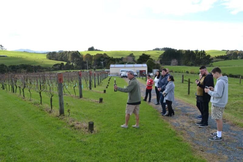 Matakana Art & Wine Village Private Tour - Key Points: