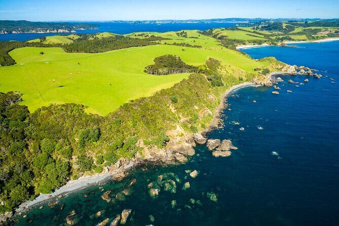 Matakana Explorer Tour - Key Points