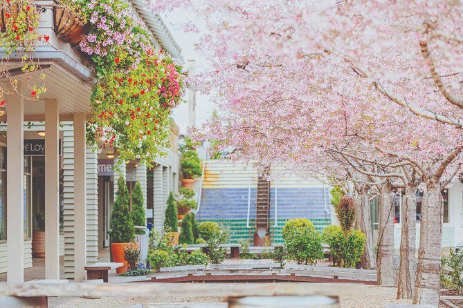 Matakana Riverside Market, Beaches and Winery Tour from Auckland - Key Points