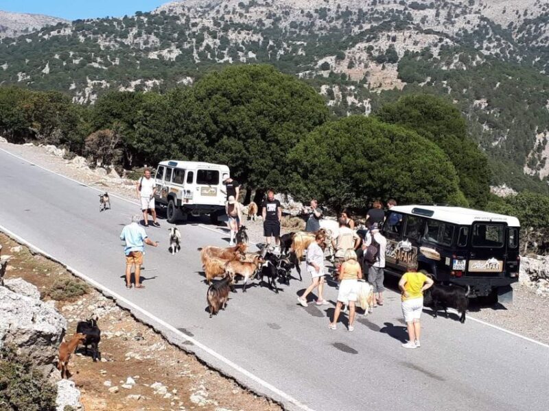 Matala Agiofarago Gorge Guided Jeep Safari Tour - Final Thoughts