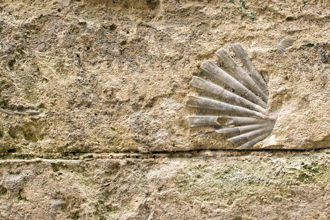 Matera Walking Tour with Audio and Written Guide by a Local - Authentic Insights from Reviewers