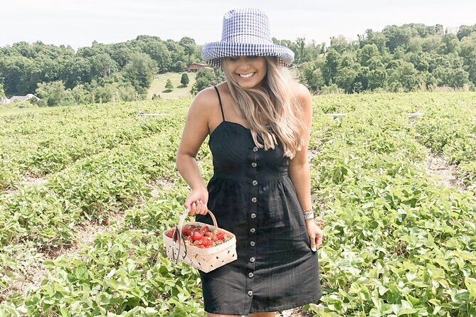 Mattituck Bike Wine Country and Fruit Orchard Tour - Who Will Love This Tour?