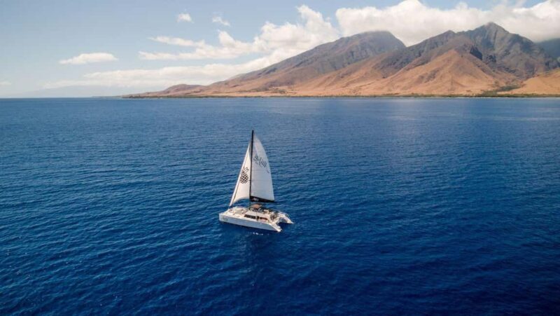 Maui: Afternoon Catamaran Sail w/ Local Culture & Cocktails - Why This Tour Offers Great Value