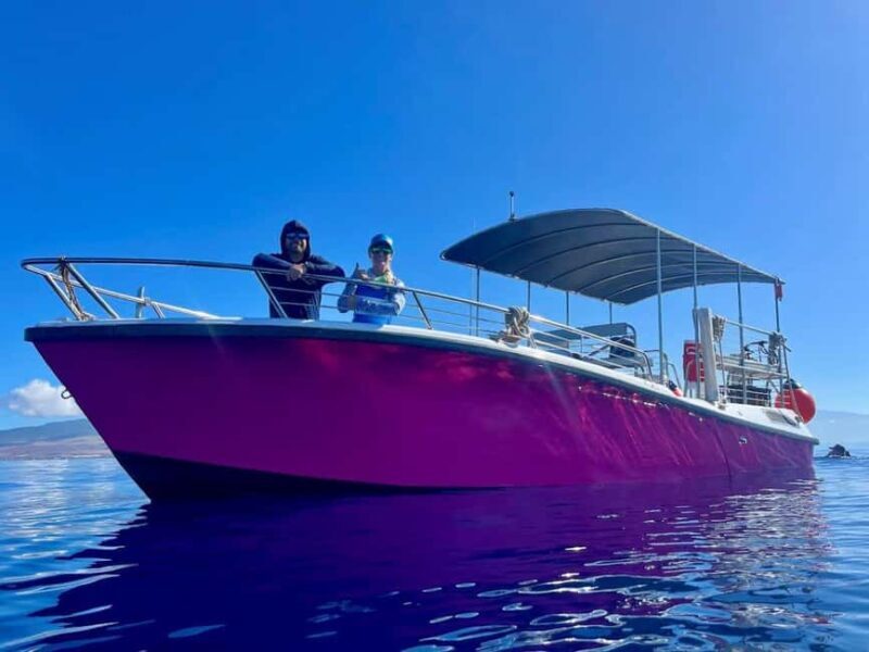 Maui and Lanai: Snorkel and Dolphin Adventure Tour - Key Points