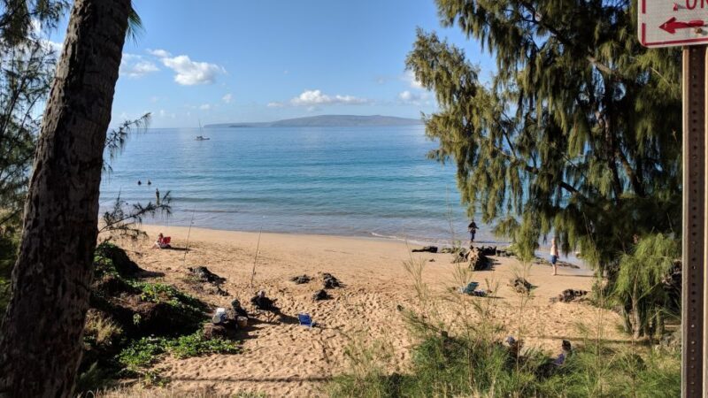 Maui Beach / Shoreline Snorkel - Final Thoughts