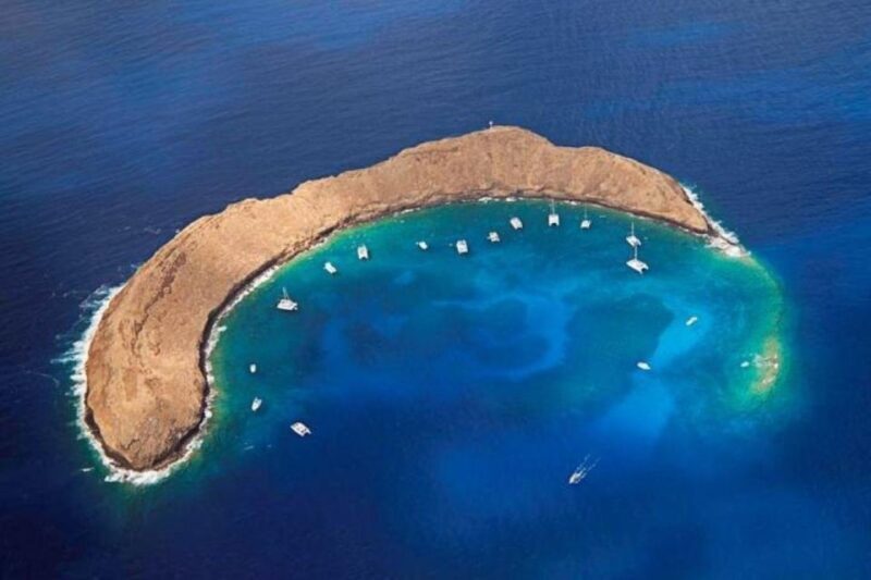 Maui: Deluxe Molokini Snorkel with Breakfast & Lunch - The Itinerary Breakdown: What to Expect