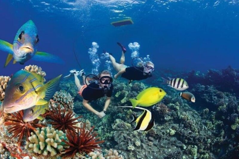 Maui: Deluxe Molokini Snorkel with Breakfast & Lunch - Is It Worth the Price?
