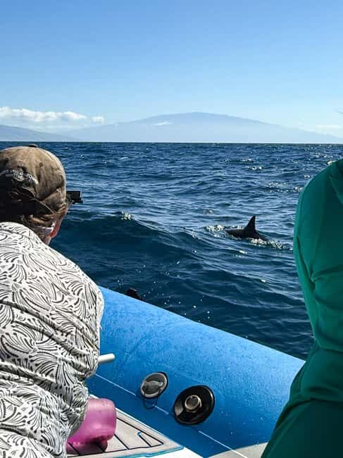Maui: Eco-Raft Dolphin Watch Tour with Snacks - Key Points
