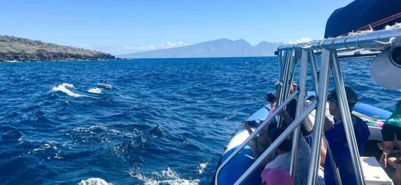 Maui: Eco-Raft Dolphin Watch Tour with Snacks - An Authentic Marine Experience on Maui’s Coast