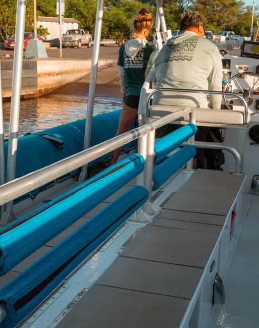 Maui: Eco-Raft Dolphin Watch Tour with Snacks - The Guides Make a Difference