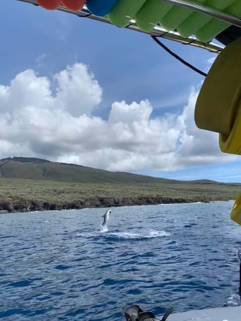 Maui: Eco-Raft Dolphin Watch Tour with Snacks - Final Thoughts: Is It Worth It?
